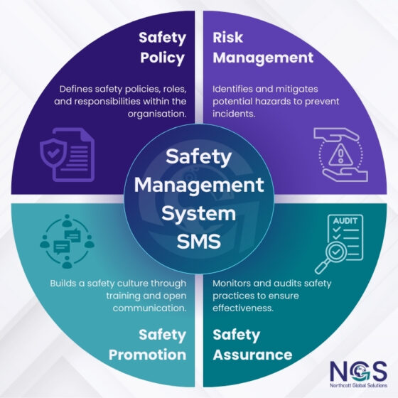 Aviation Risk Management Ensuring Safe Flights | NGS